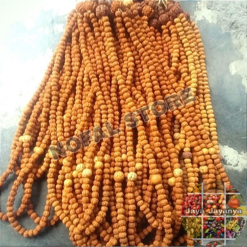 Jual Tasbih 99 Rudraksha Size Biji 8-10Mm Jenitri Atau Buah Muslim ...
