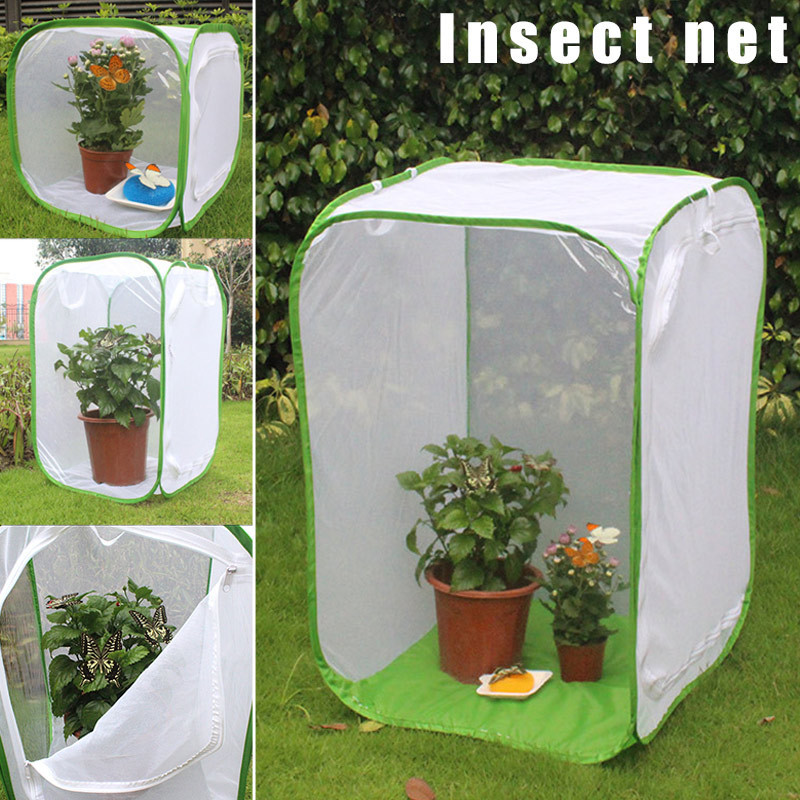 Jual Foldable Insect Cage Mesh Habitat Butterfly Mantis Bird Cricket ...