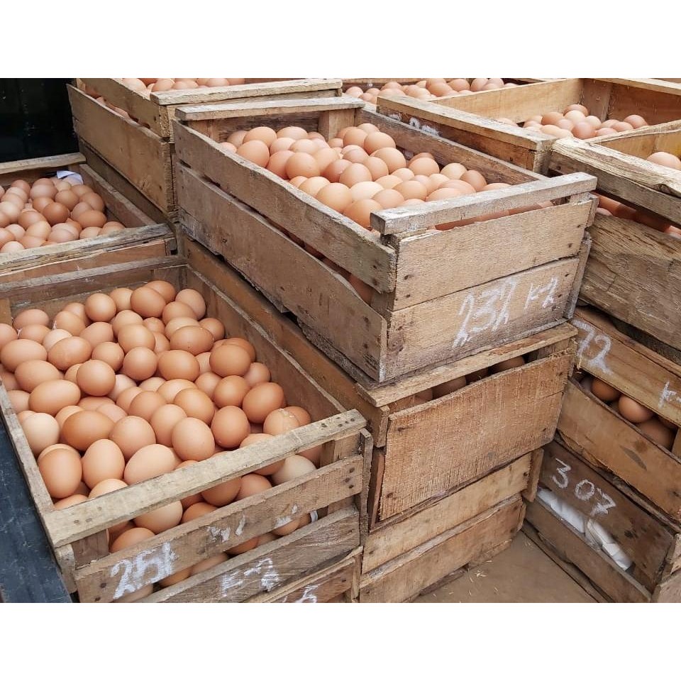 Jual Telur Ayam 1 Peti 15 Kg | Shopee Indonesia