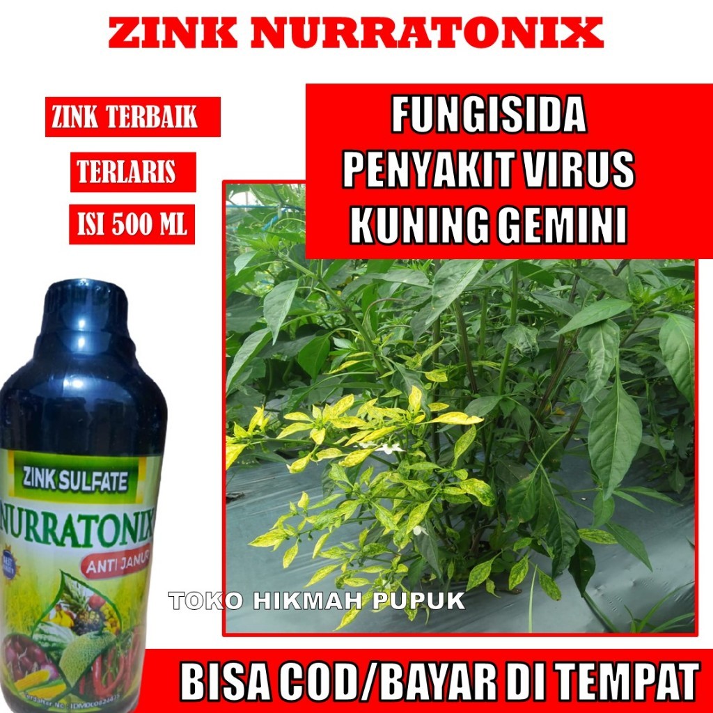 Jual (FUNGISIDA VIRUS KUNING GEMINI) 500 ML ZINK OBAT VIRUS KUNING ...