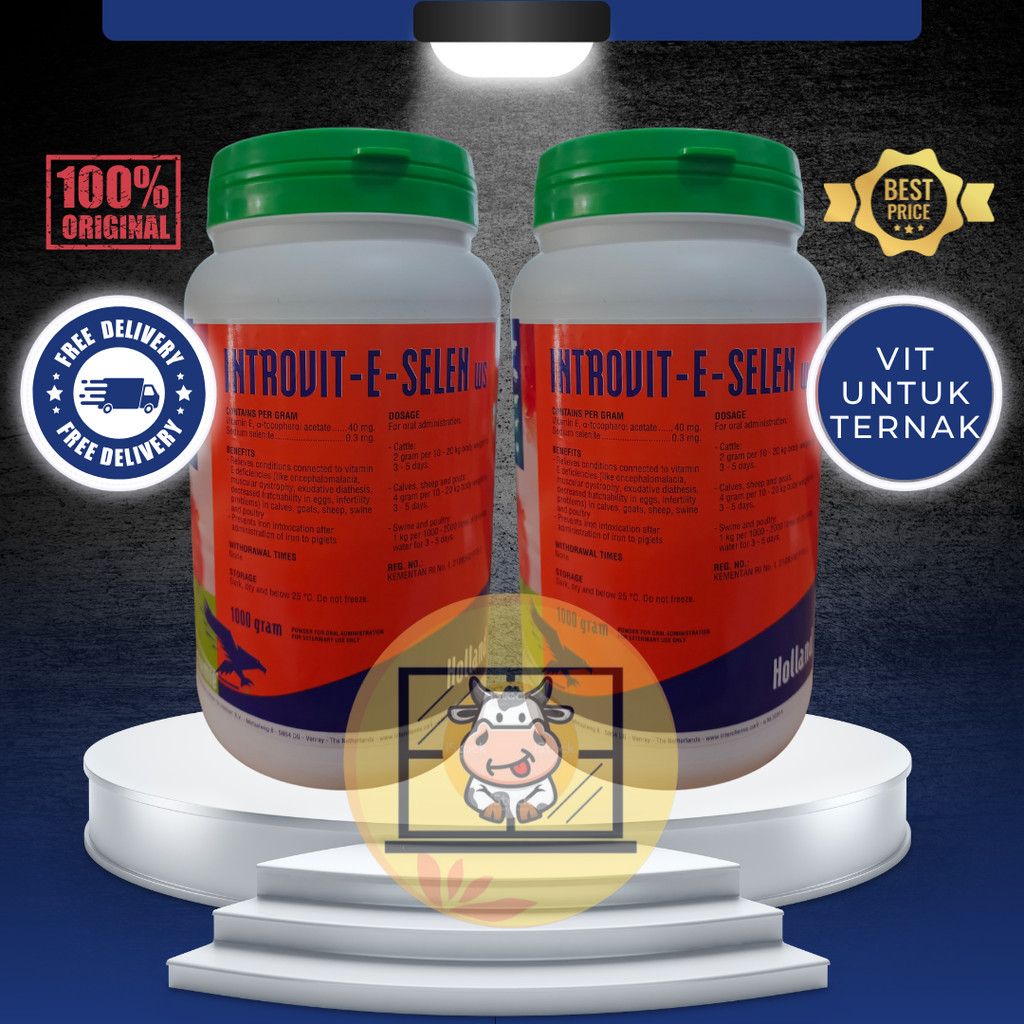 Jual INTROVIT E SELEN WS 1 KG - Vit E Selenium Untuk meningkatkan ...