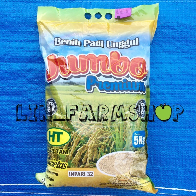 Jual BENIH PADI INPARI 32 JUMBO PREMIUM 5 KG | Shopee Indonesia
