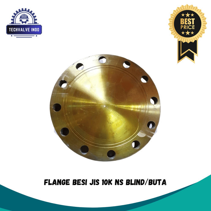 Jual FLANGE BESI BUTA/BLIND 10" INCH JIS 10K NS | Shopee Indonesia