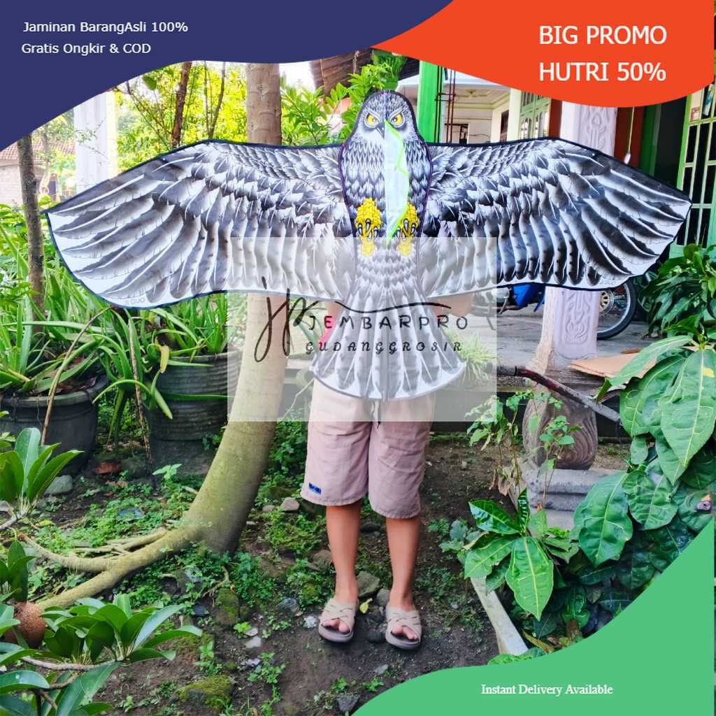 Jual Layang - layang Viral Burung Elang Jumbo 2,4 meter Mudah Terbang ...
