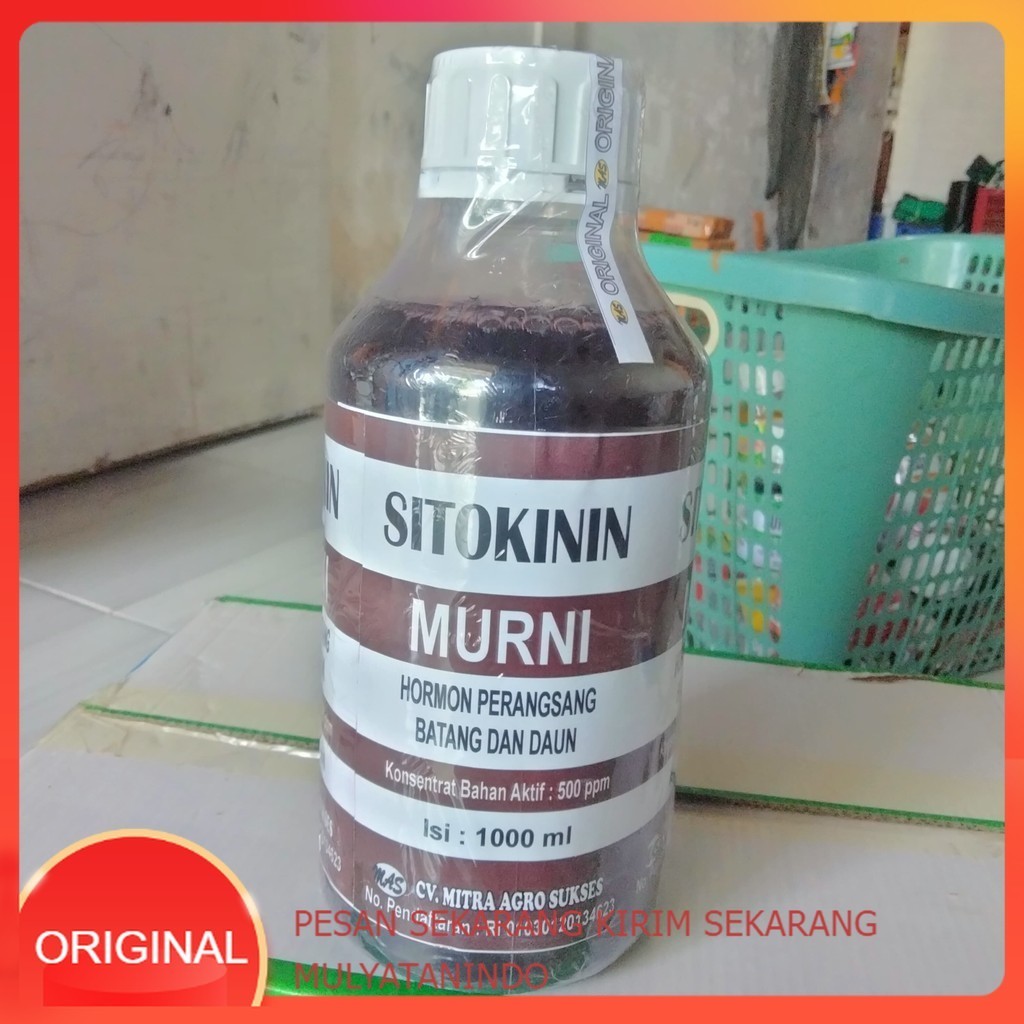 Jual SITOKININ Murni Hormon Perangsang Batang dan Daun Isi 1000ml ...