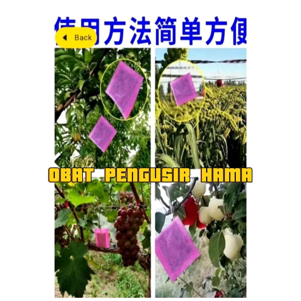 Jual obat import pengusir hama burung pada tanaman padi,buah buahan ...