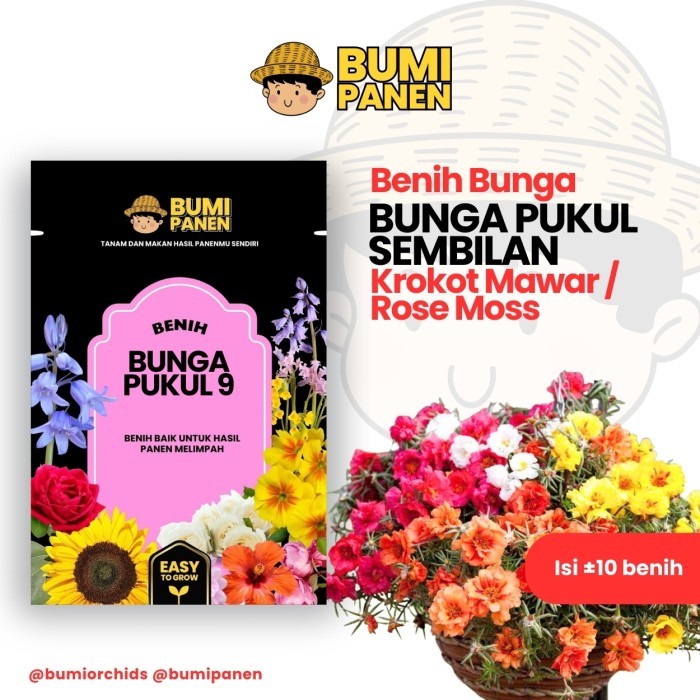 Jual BUMI ORCHIDS Benih Bunga Pukul Sembilan 9 / Krokot Mawar / Rose ...