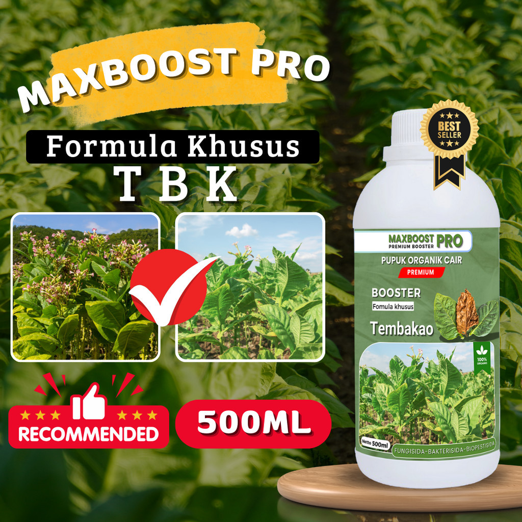 Jual pupuk organik cair maxboost pro khusus tanaman TBK, pupuk pelebat, pemacu tumbuh, plus ...