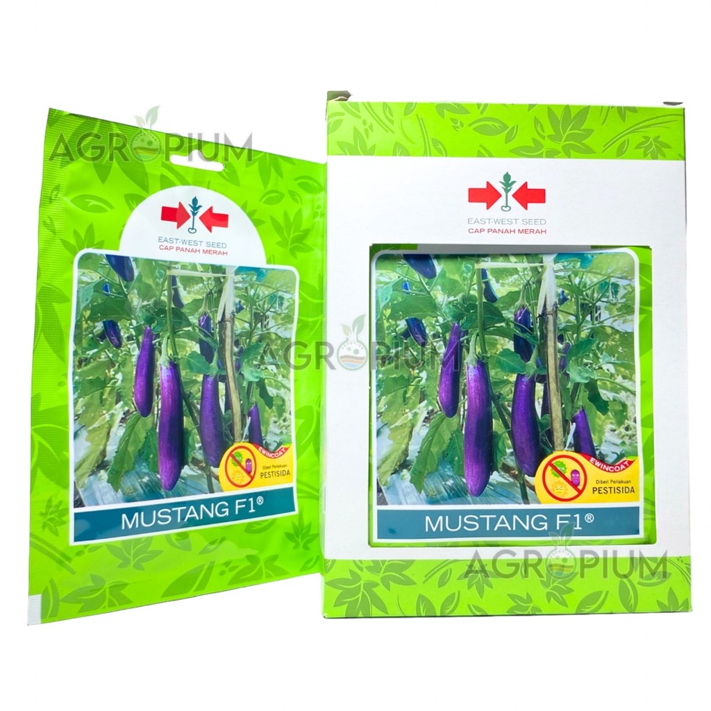 Jual Benih Terong Ungu MUSTANG F1 Isi 400 Butir Cap Panah Merah | Shopee Indonesia