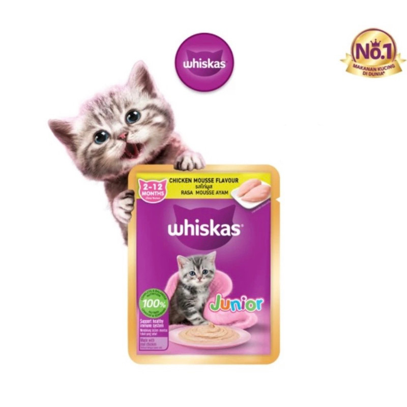 Jual Whiskas Junior Chicken Mousse Flavour 80gr | Shopee Indonesia