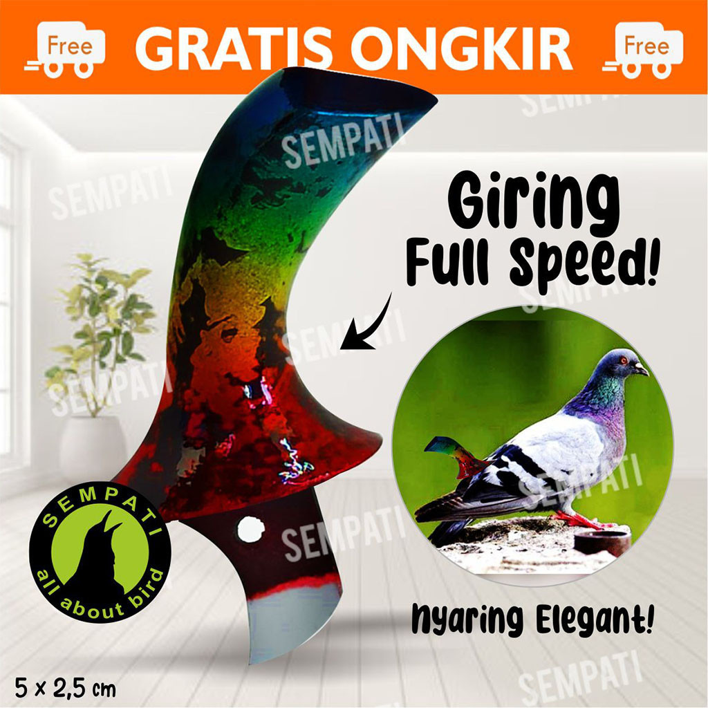 Jual SEMPATI SAWANGAN KOBRA AIR BRUSH SAWANGAN MERPATI ANGKRIK HATONG ...
