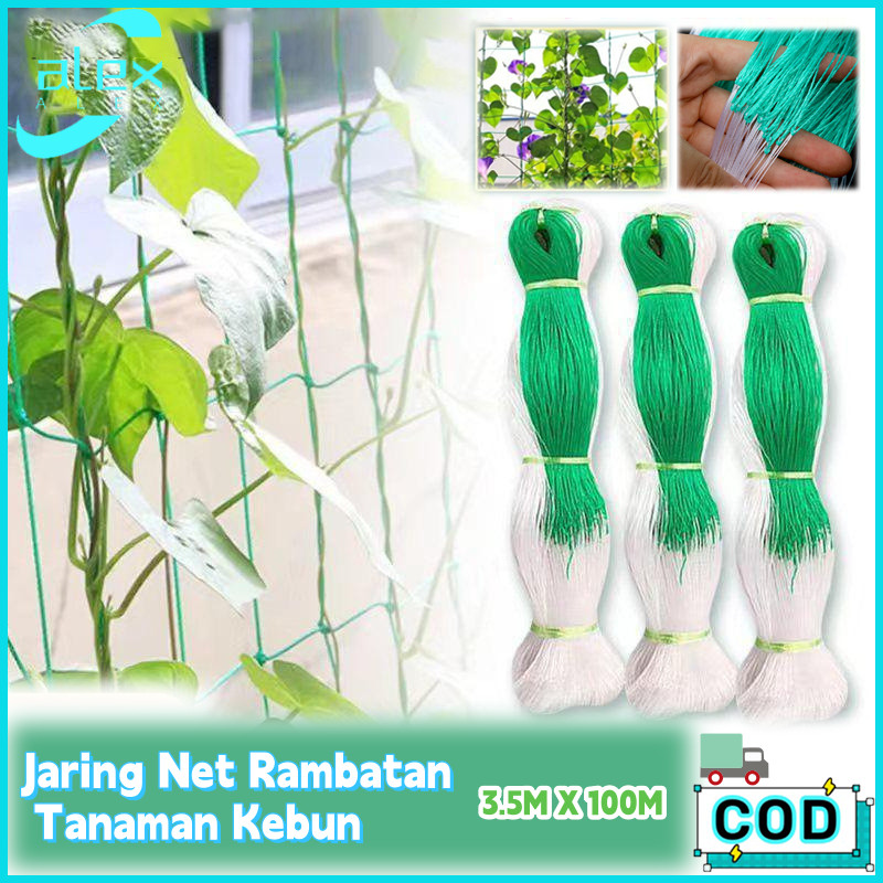 Jual 3.5M*100M Jaring Untuk Tanaman Jaring Tanaman Rambat Jaring ...