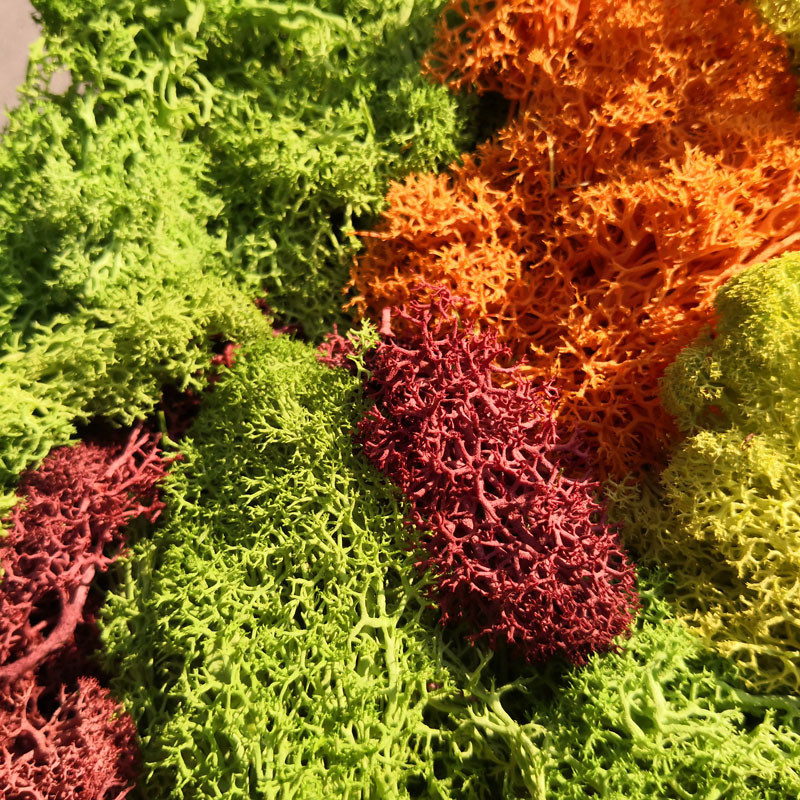 Jual 30g Artificial Lichen Moss Cluster Bushes Model Green Plants for ...