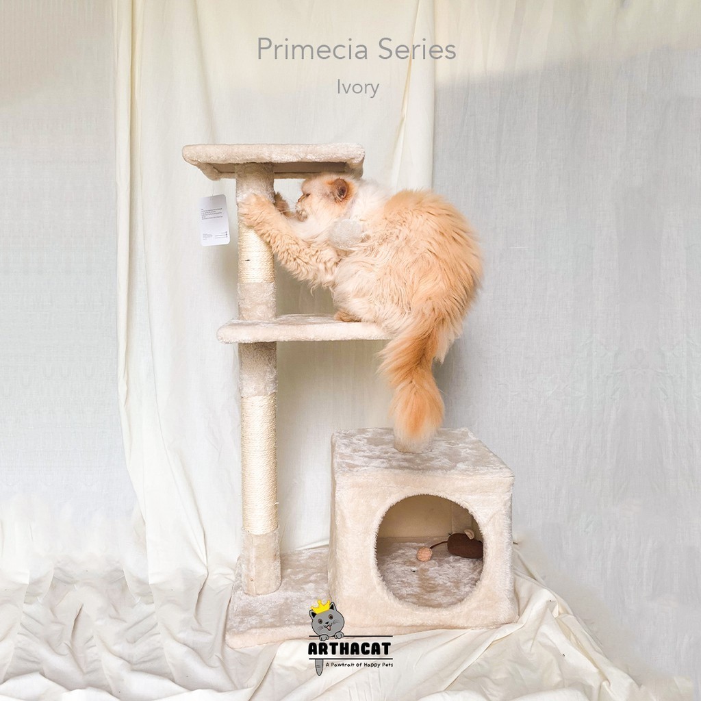 Jual Cat Condo, Rumah Kucing tinggi tiyang 75 / 85cm brkualitas bagus ...