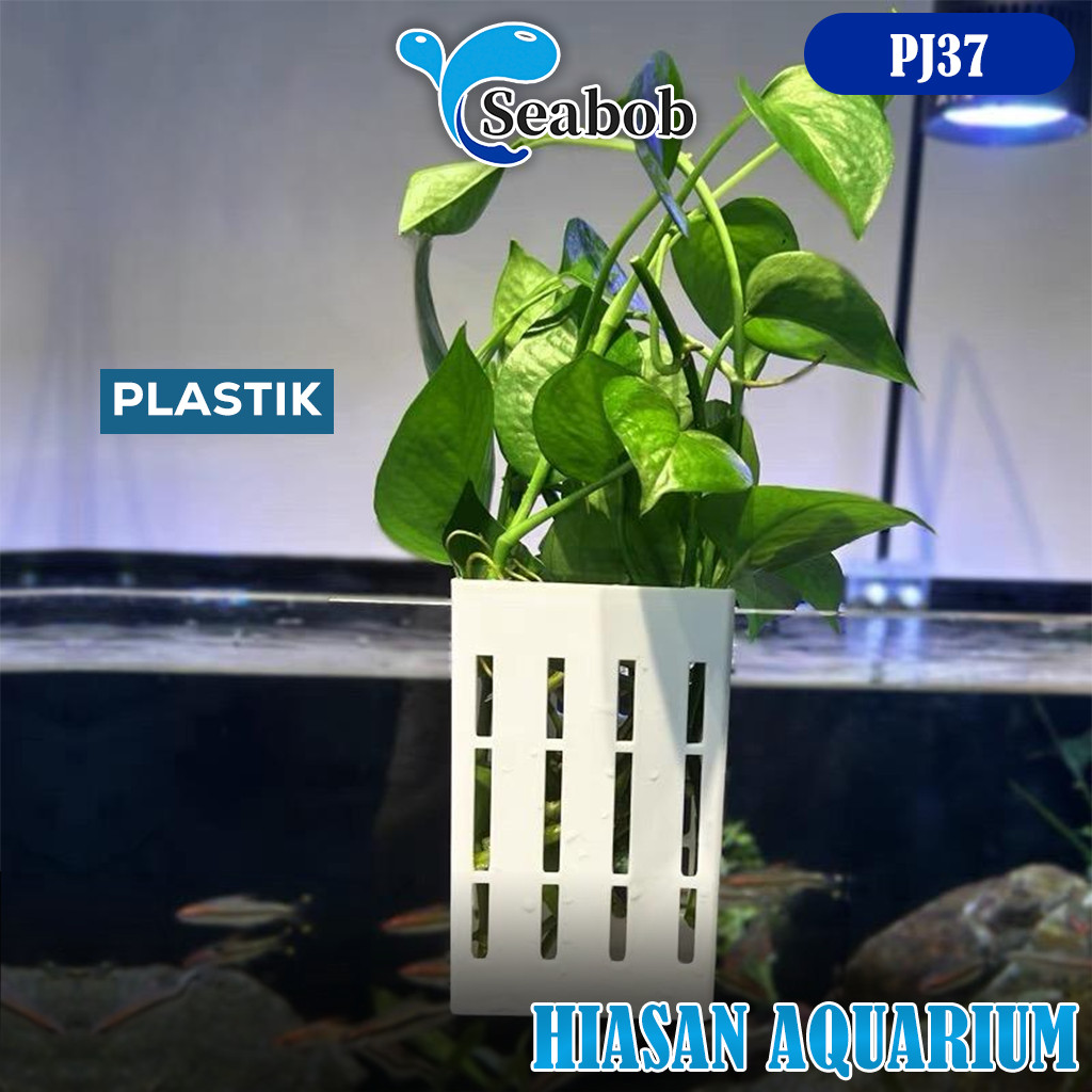 Jual SEABOB HIASAN POT TANAMAN PLASTIK AQUARIUM PJ37 / WADAH TANAMAN ...