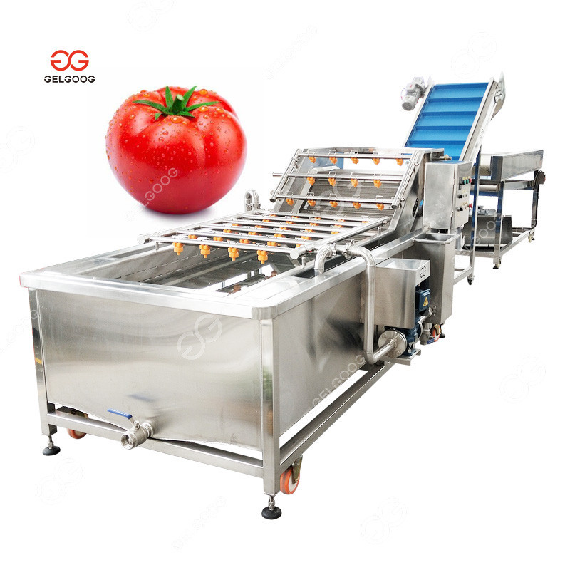 Jual Air Bubble Tomato Seed Sorting Cleaning And Drying Machinery ...