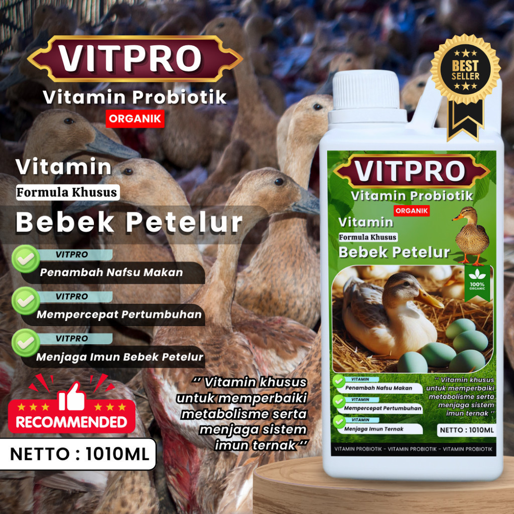 Jual VITPRO Vitamin Ternak Bebek Petelur (1010ml)Agar Telur Bertambah ...