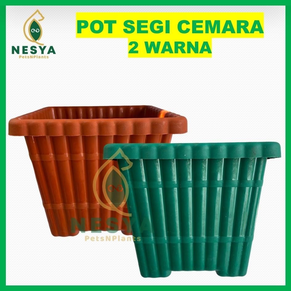 Jual Pot Segi Cemara Pot Tanaman Hias Pot Tanaman Bunga Pot Unik ...