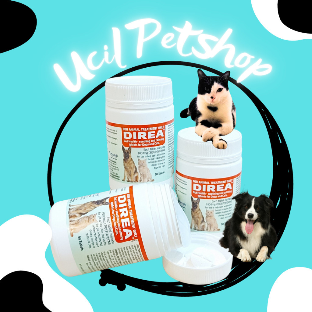Jual Direa Obat Anti Diare Kucing Anjing (1 Tablet) | Shopee Indonesia