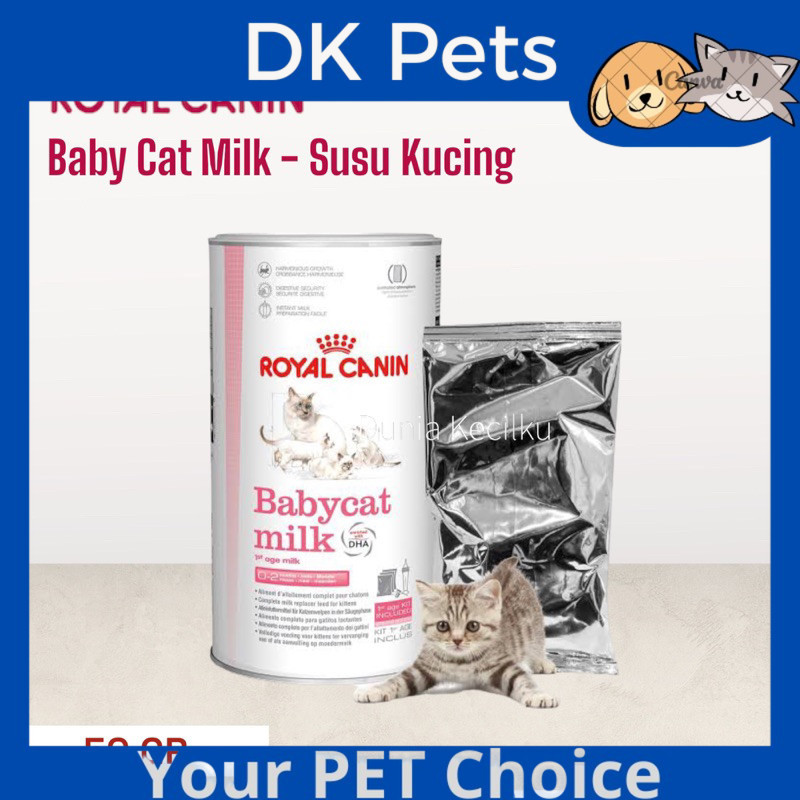 Jual Royal Canin Baby Cat Milk Susu Kucing Premium Untuk Kitten / Anak Kucing 50gr | Shopee ...