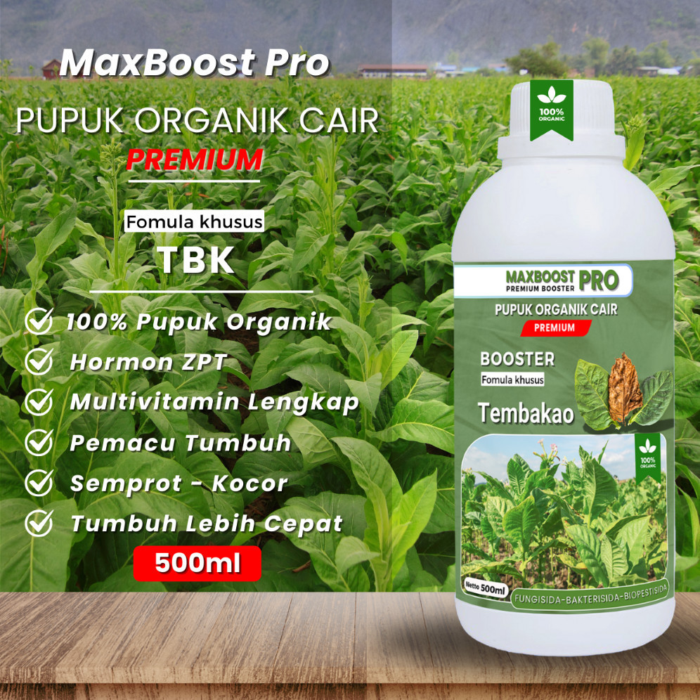 Jual pupuk organik cair maxboost pro khsusus tanaman TBK, plus hormon organik poc kompos memacu ...