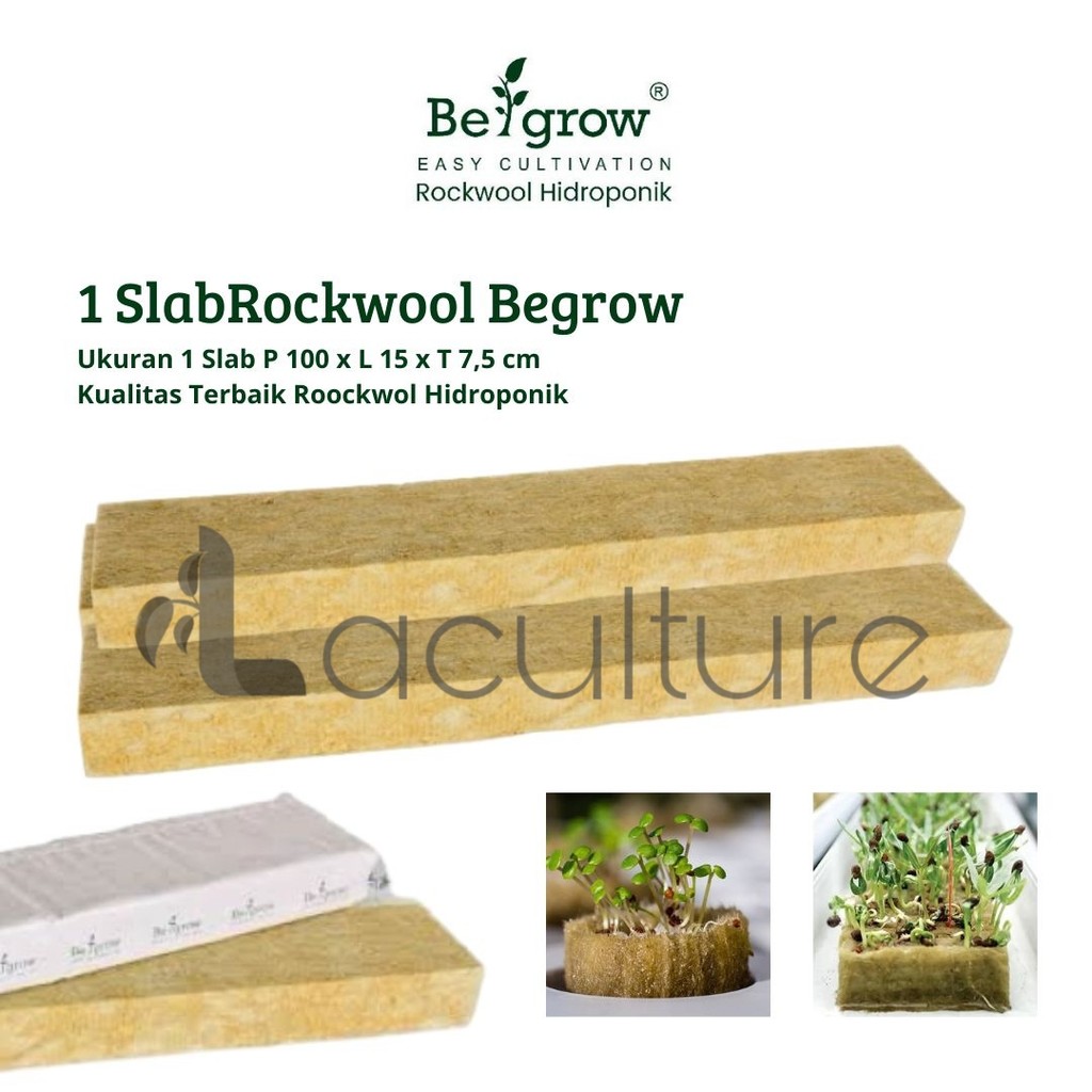 Jual 1 Slab Rockwool Hidroponik Begrow Media Semai Rockwool | Shopee Indonesia