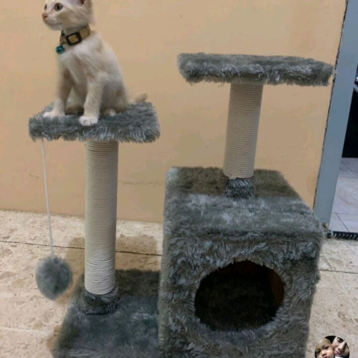 Jual Cat Condo, Rumah Kucing interaktif cet condo rumah kucing/mainan ...