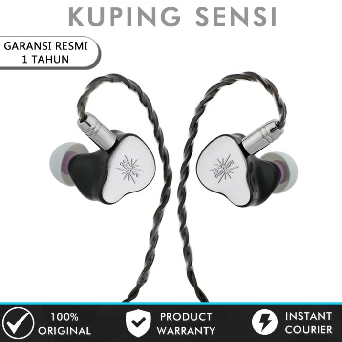 Jual Kiwi Ears KE4 2DD + 2BA Hybrid Driver New Tuning Target IEM ...