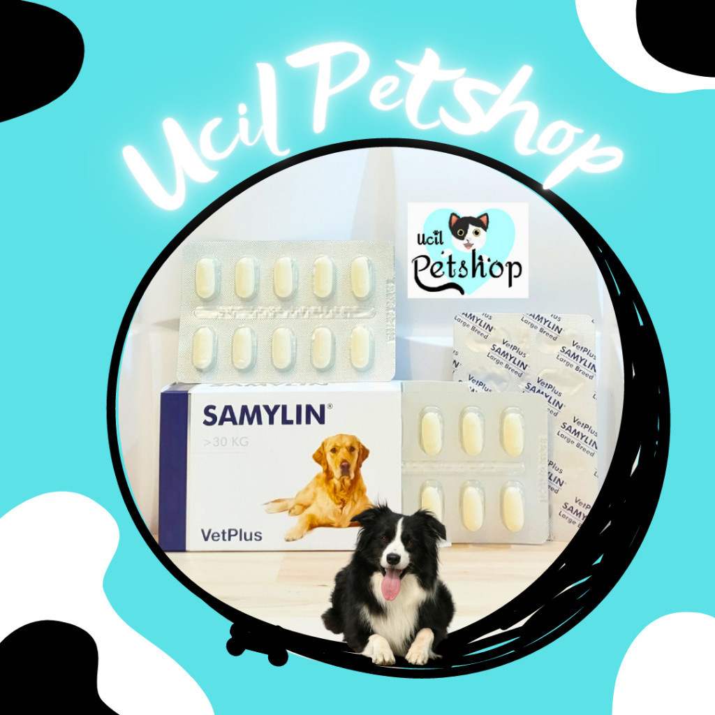 Jual Samylin VetPlus Large Breed Dog Gangguan Liver Hati Anjing BB ...