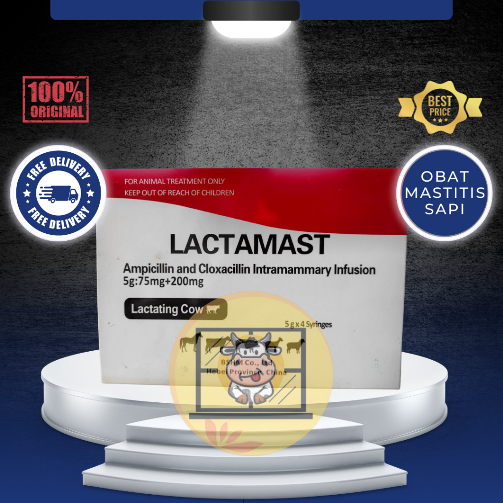Jual Lactamast 1 Syringe - Antibiotik Intramammary untuk Pengobatan ...