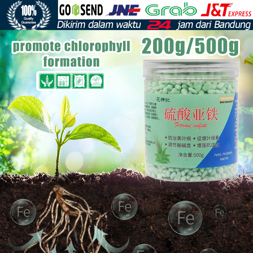 Jual 200G/500G Feso4 Ferrous Sulfate Ferrous Sulphate Ferro Sulfate ...