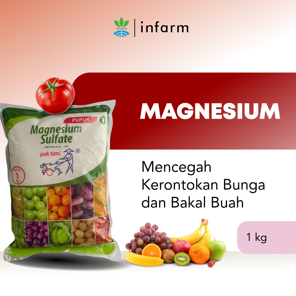 Jual INFARM - Pupuk Magnesium Sulfate 1 KG Pupuk Magnesium Sulfur Pupuk ...