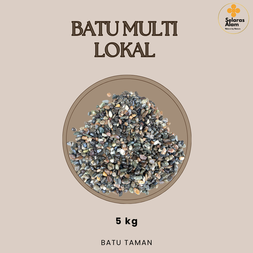 Jual BATU AQUARIUM- BATU MULTILOKAL/ BATU TAMAN HIAS 5 KG | Shopee ...