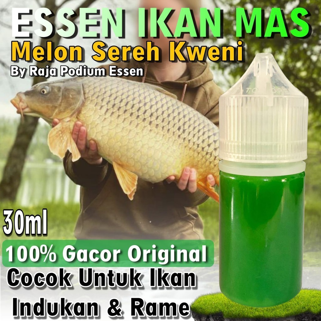 Jual Essen Ikan Mas Aroma Melon Sereh Kweni Paling Gacor Segala Umpan ...