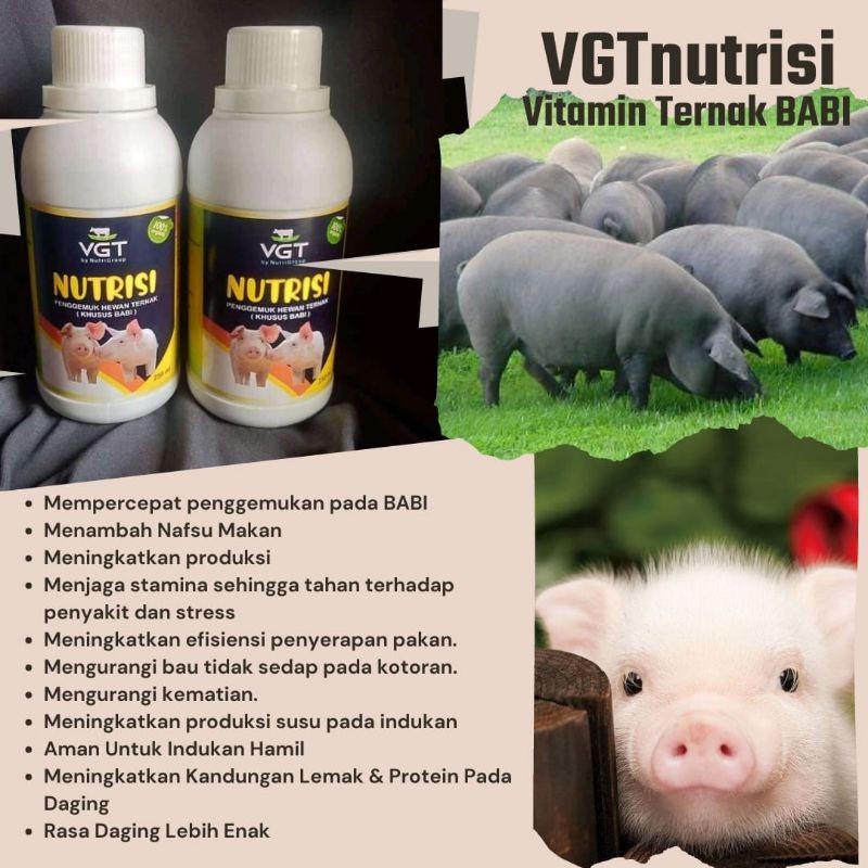 Jual AB32L VGT nutrisi Ternak Babi probiotik vitamin ternak organik ...
