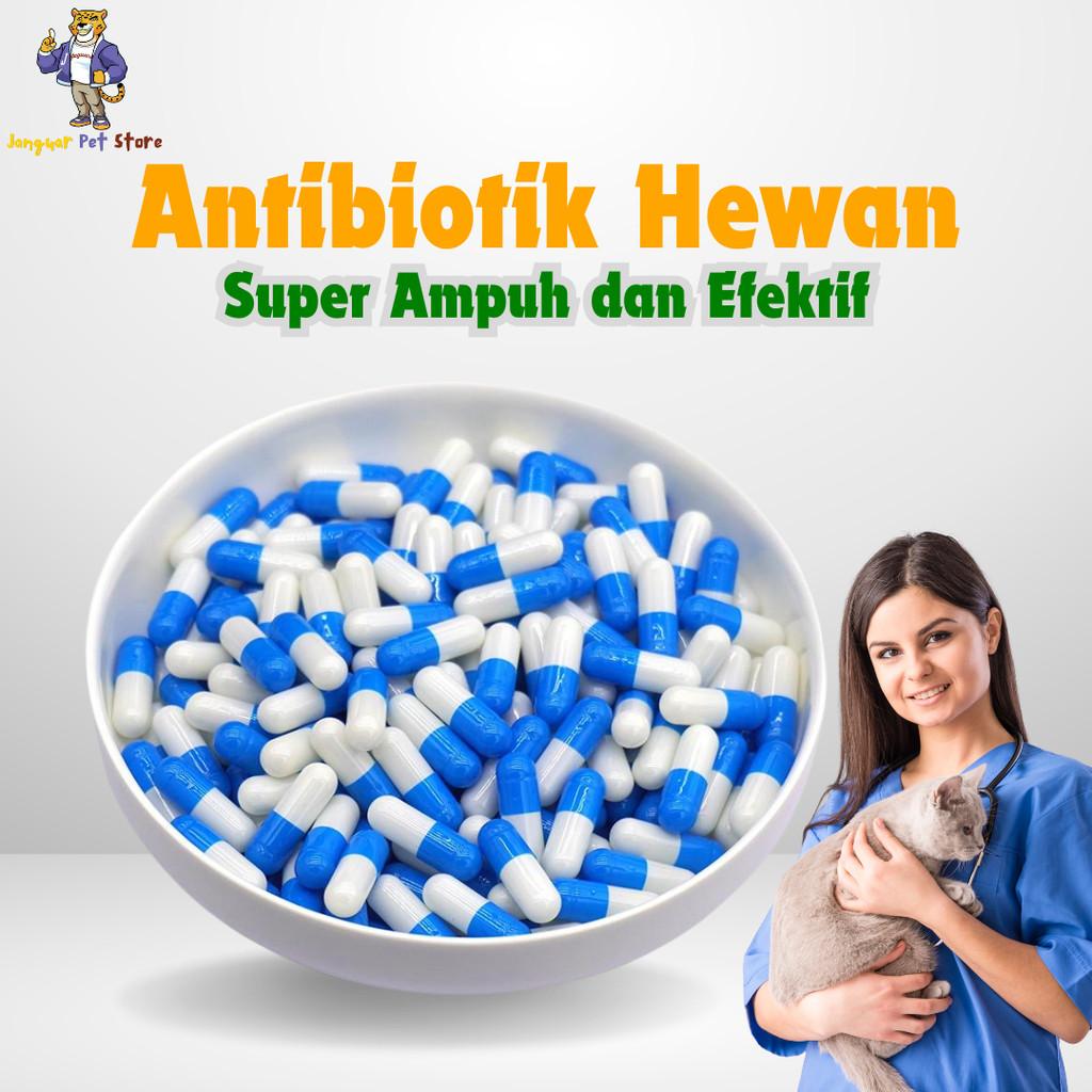 Jual [GROSIR] OBAT ANTIBIOTIK DEMAM INFEKSI KUCING VITAMIN KUCING ANTI ...