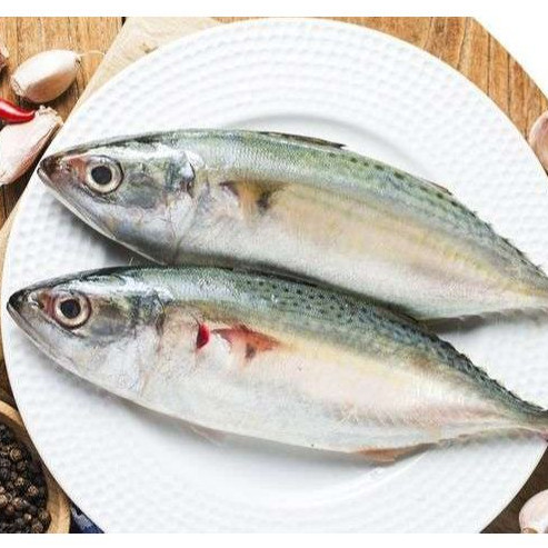 Jual IKAN KEMBUNG FRESH & FROZEN 1KG | KEMBUNG BANJAR / KEMBUNG BENTONG ...