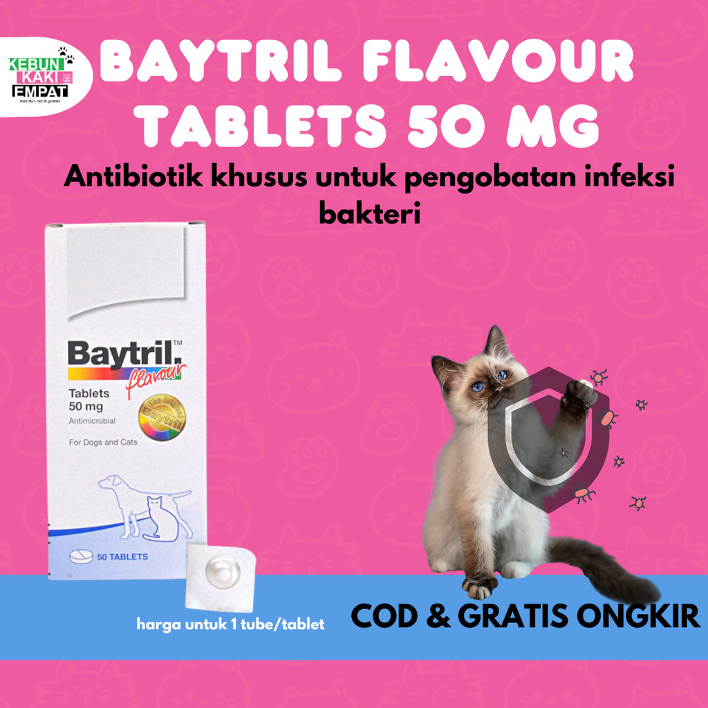 Jual BAYTRIL Obat Antibiotik Flavour Tablets 50 Mg Cat & dog | Shopee ...