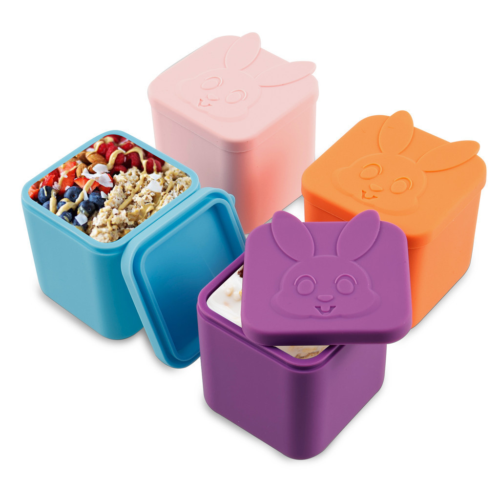 Jual 6/4Pcs Salad Dressing Container with Lids Leakproof Small Sauce ...