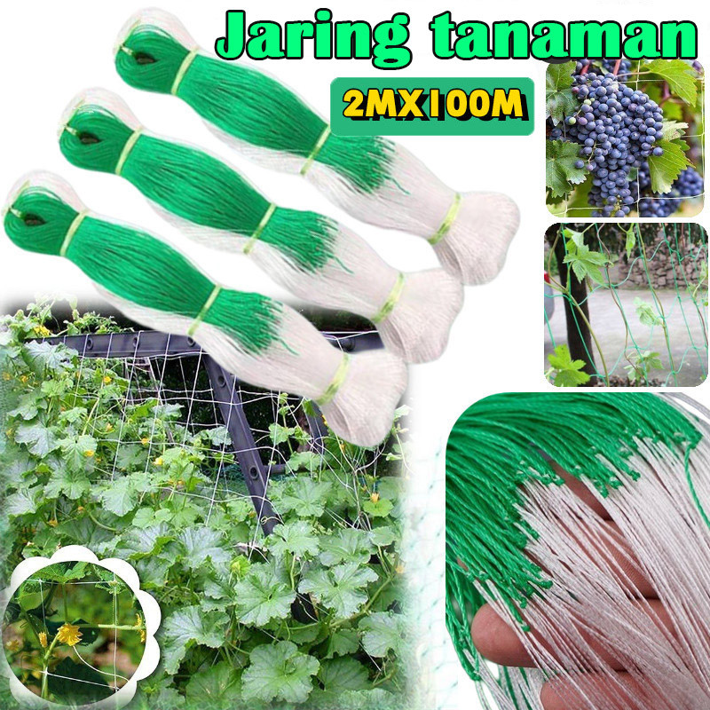 Jual 2M X 100M Jaring Net Rambatan Tanaman Kebun Trellis Netting Green ...