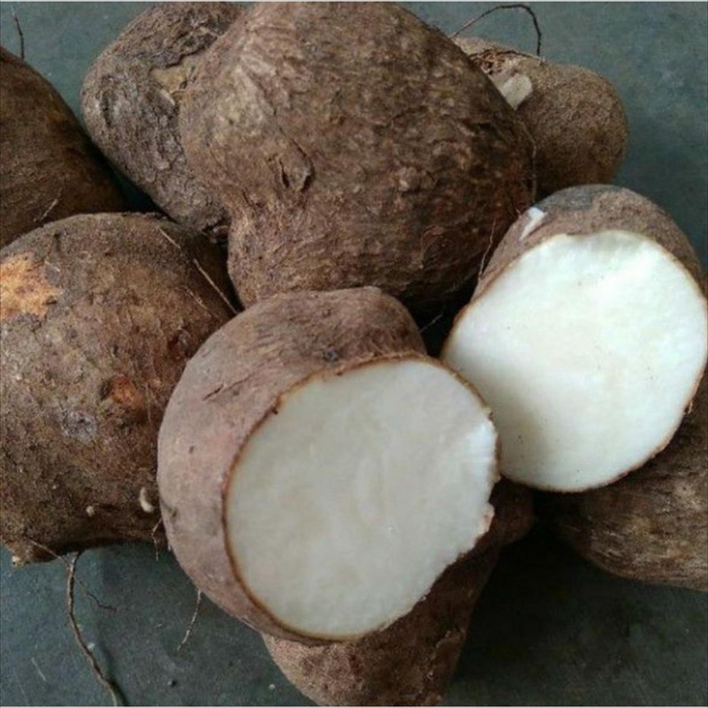 Jual UBI JALAR UWI PUTIH PER 1 KG FRESH HARIAN PASAR | Shopee Indonesia
