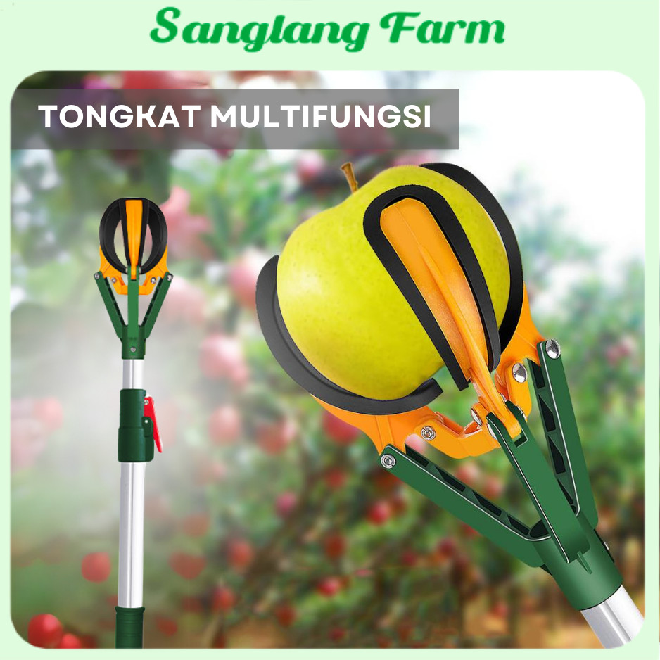 Jual Telescopic Pole Fruit Picker Claw Tongkat Serbaguna Tongkat ...