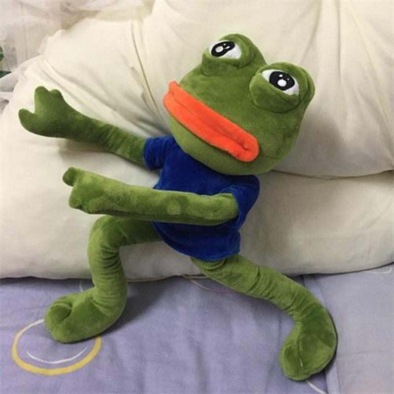 Jual 45cm Sad Frog Plush Toy Soft Stuffed Pillow Magic Expression Pepe ...