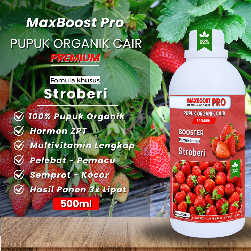 Jual Pupuk organik cair stroberi, Booster stroberi maxboost, melebatkan ...