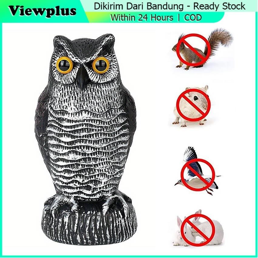 Jual Realistic Bird Scarer Rotating Head Sound Bird Repellent Fake Owl ...