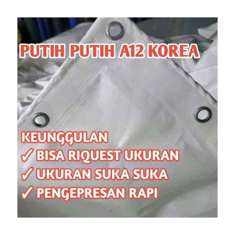 Jual TERPAL WATERPROOF TERPAL TENDA NIKAHAN/TERPAL TEROP WARNA PUTIH ...