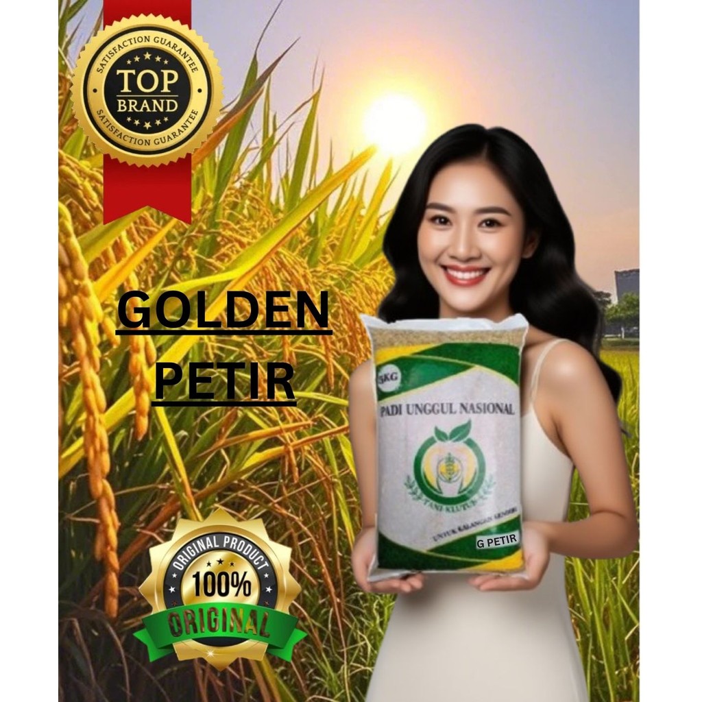 Jual PADI UNGGUL GOLDEN PETIR KEMASAN 5kKG ORIGINAL TANI KLUTUK ...