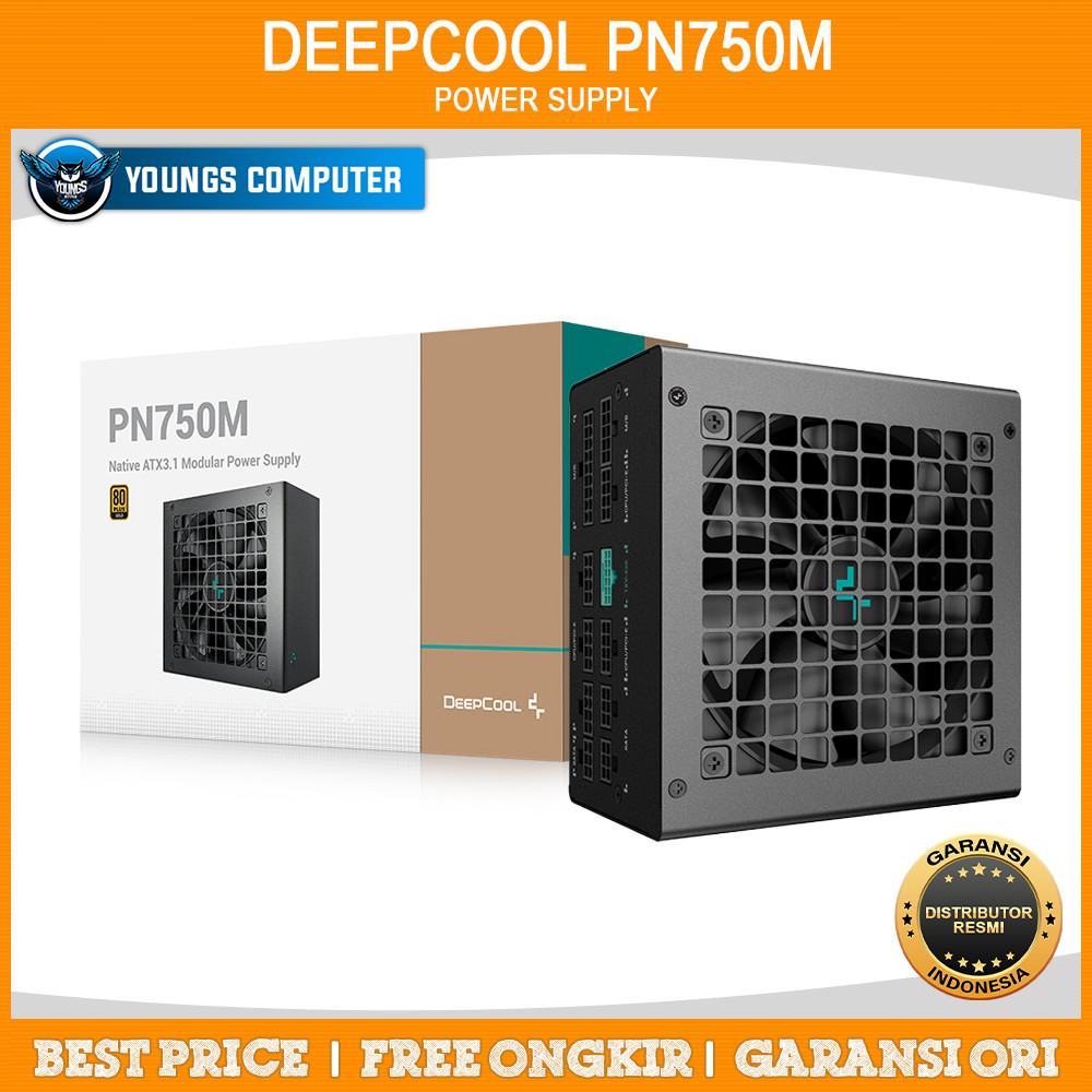 Jual PSU DEEPCOOL PN750M 750W 80+ Gold Full Modular ATX 3.1 | Power ...