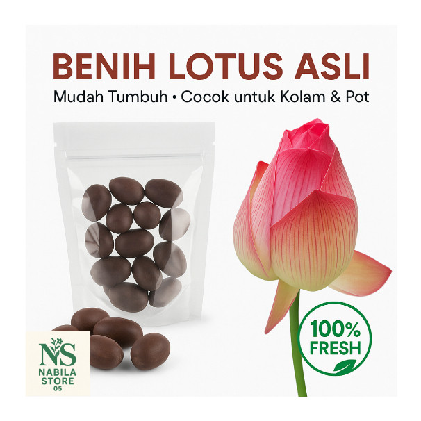 Jual NF - Biji Benih Lotus Mini Bunga Teratai Varian Warna | Shopee ...