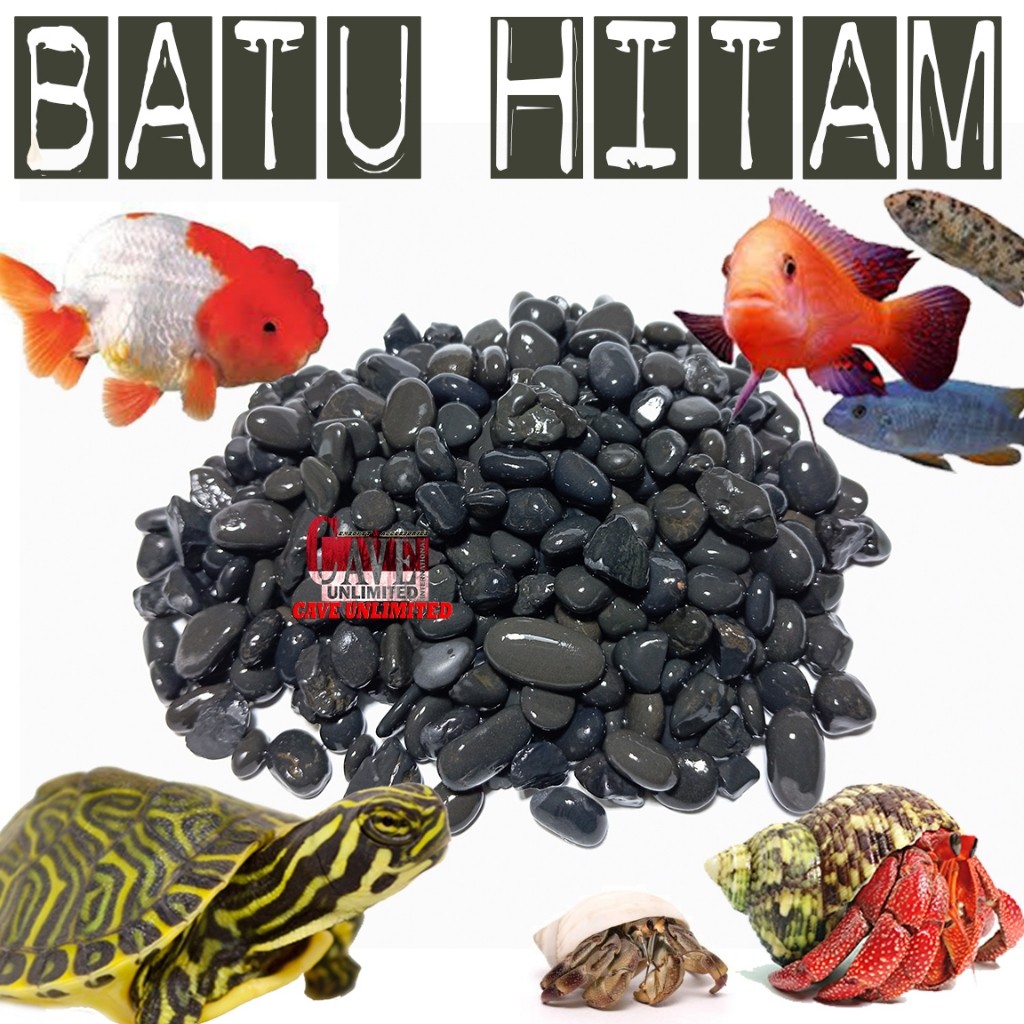 Jual BATU ALAM HITAM KERIKIL KORAL CORAL SUBSTRAT ALAS KANDANG REPTILE ...
